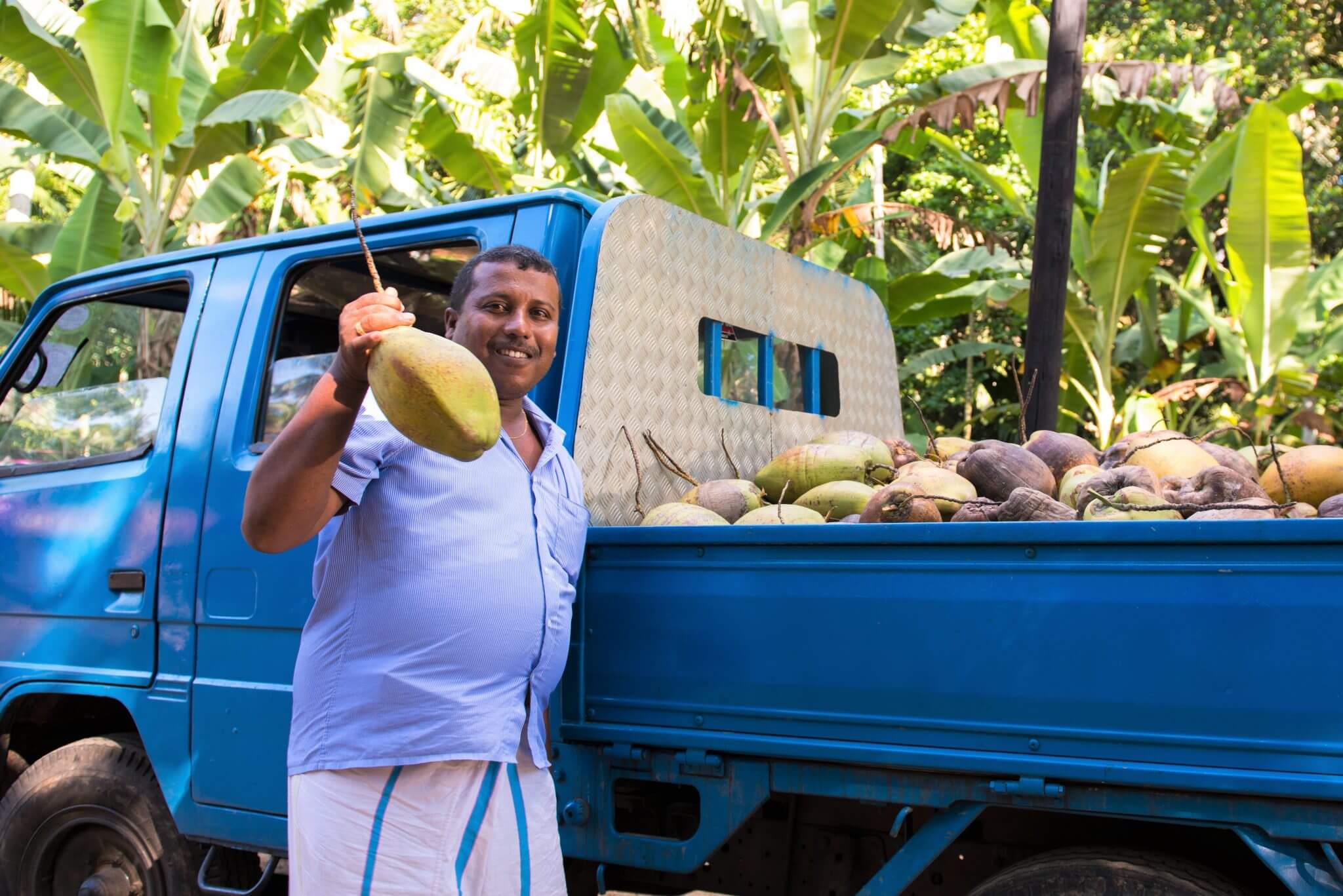 Kokosmilch: Ein Blick hinter die Kulissen - Fairtrade Original